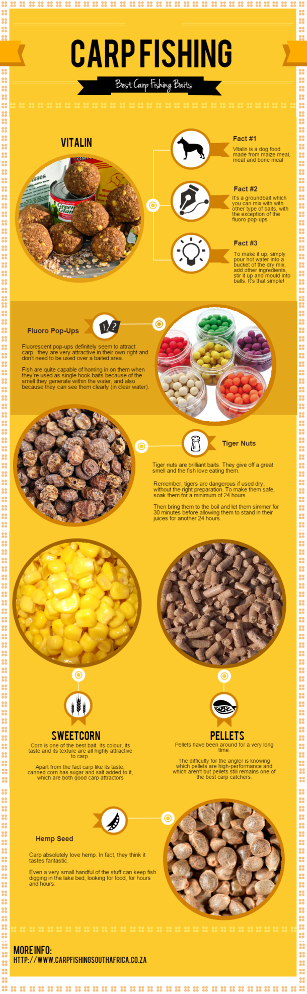 Basics of Carp Fishing for Beginners - Infographic - Carp Fishing Reviews